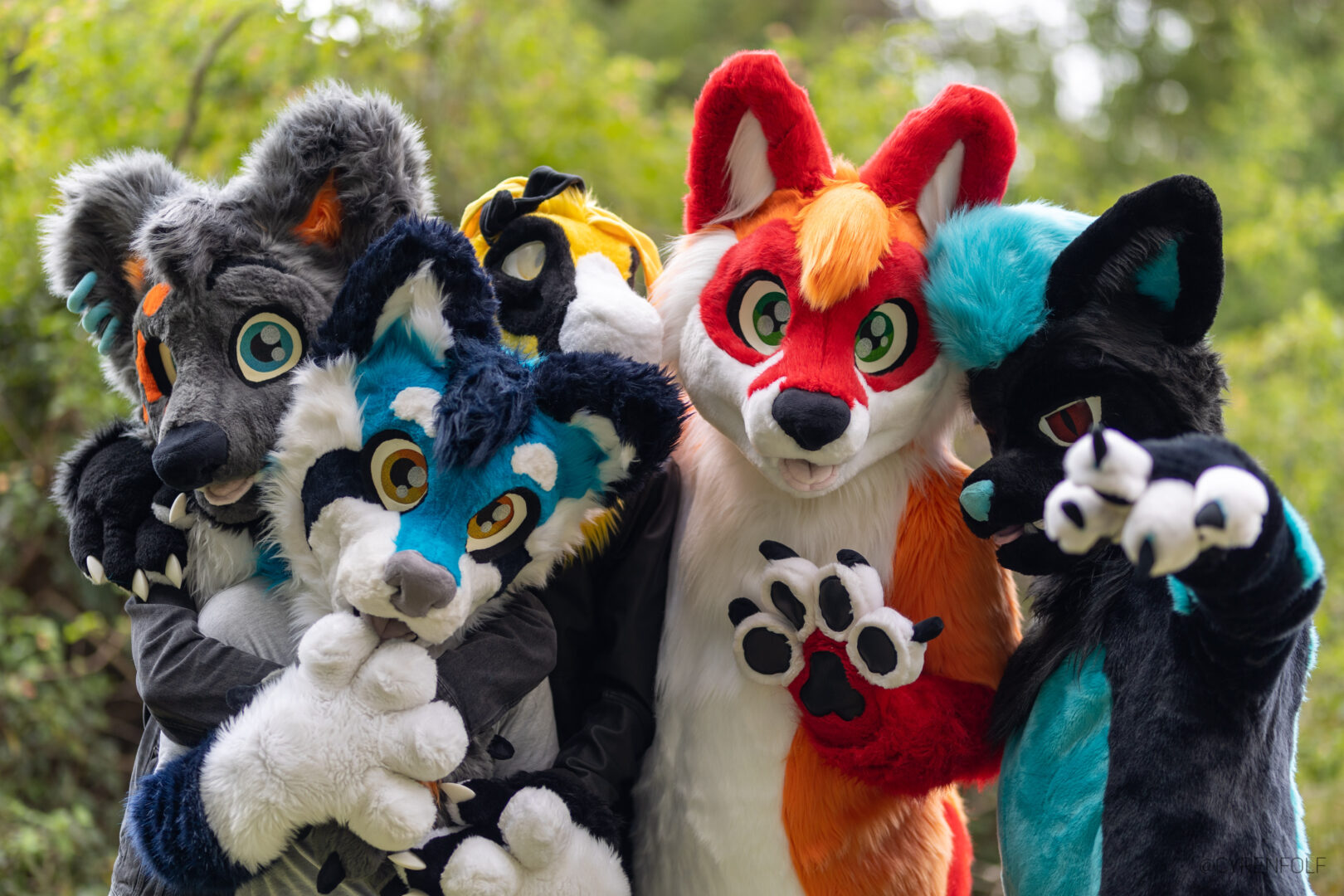 Fur Meets Australia - Meet furries around Australia!